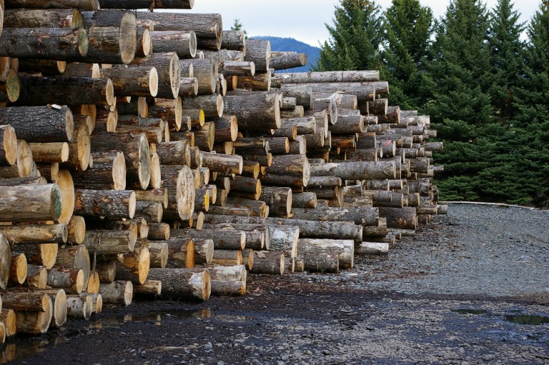 Bennett Lumber