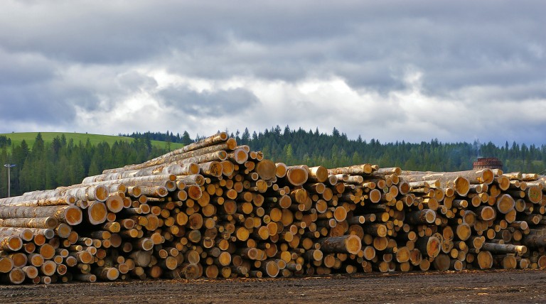 Bennett Lumber